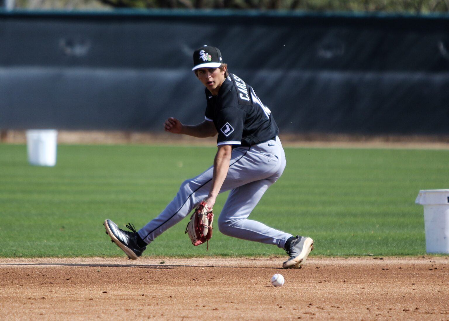 - FutureSox is covering the Chicago White Sox stars of tomorrow